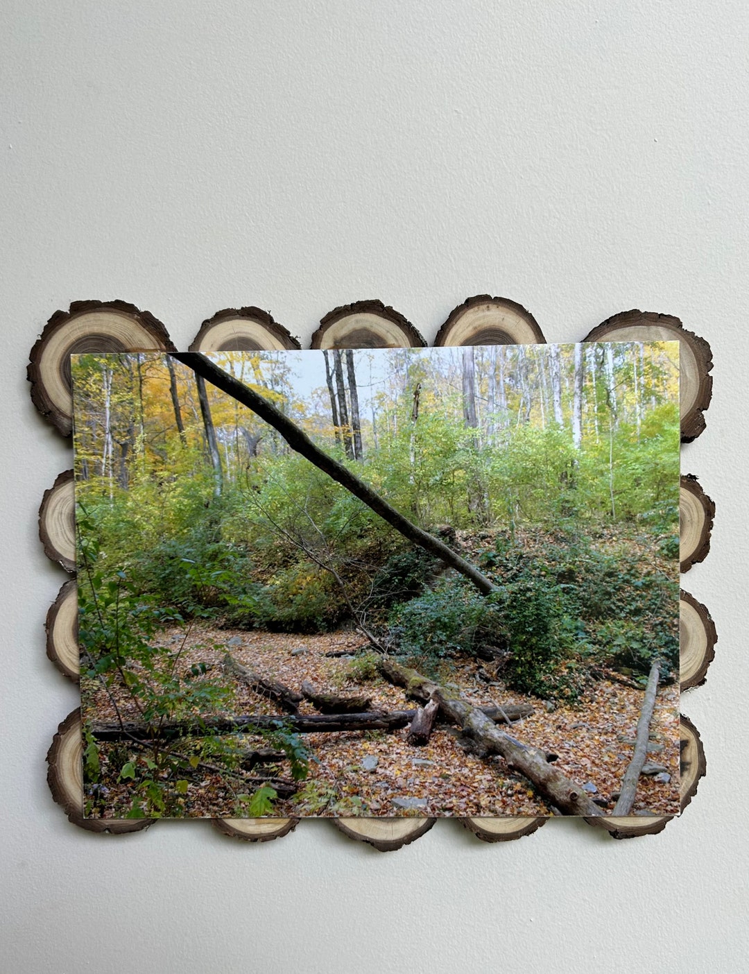 Contemporary Tree Photo - Etsy