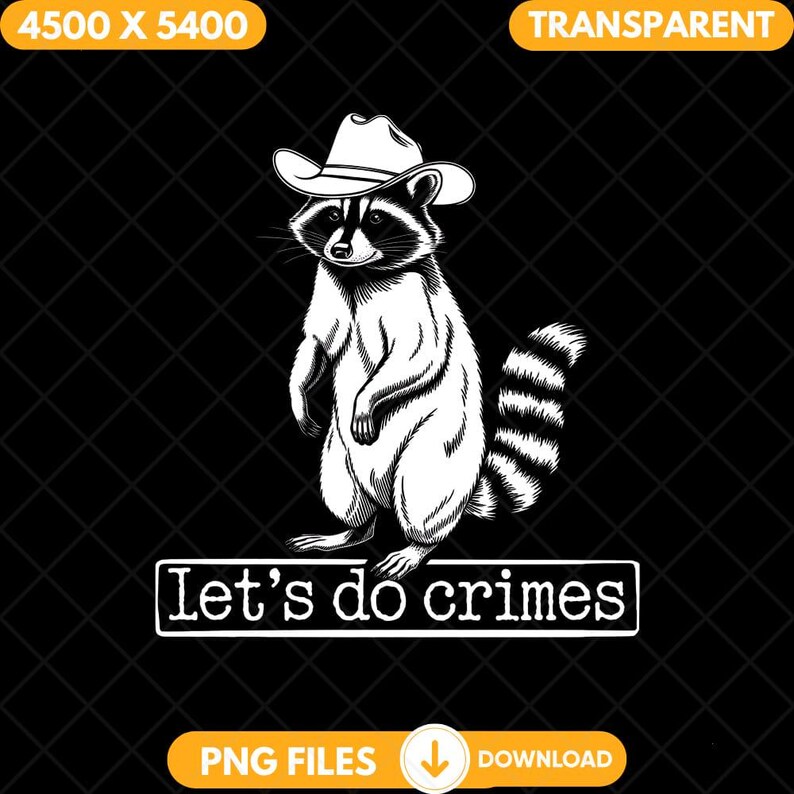 Let's Do Crimes Png, Funny Raccoon Cartoon Sublimation Png, Digital ...