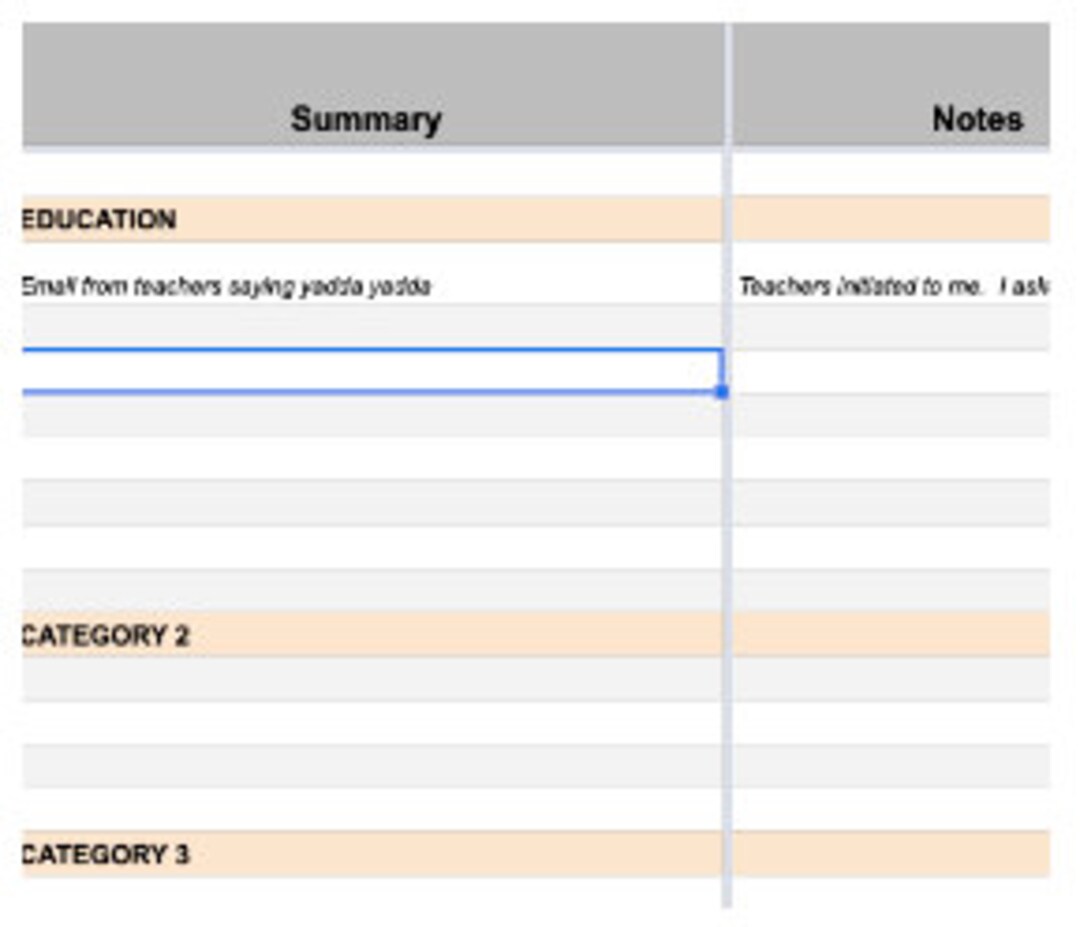The Custody Blueprint Template: Evidence Grid - Etsy