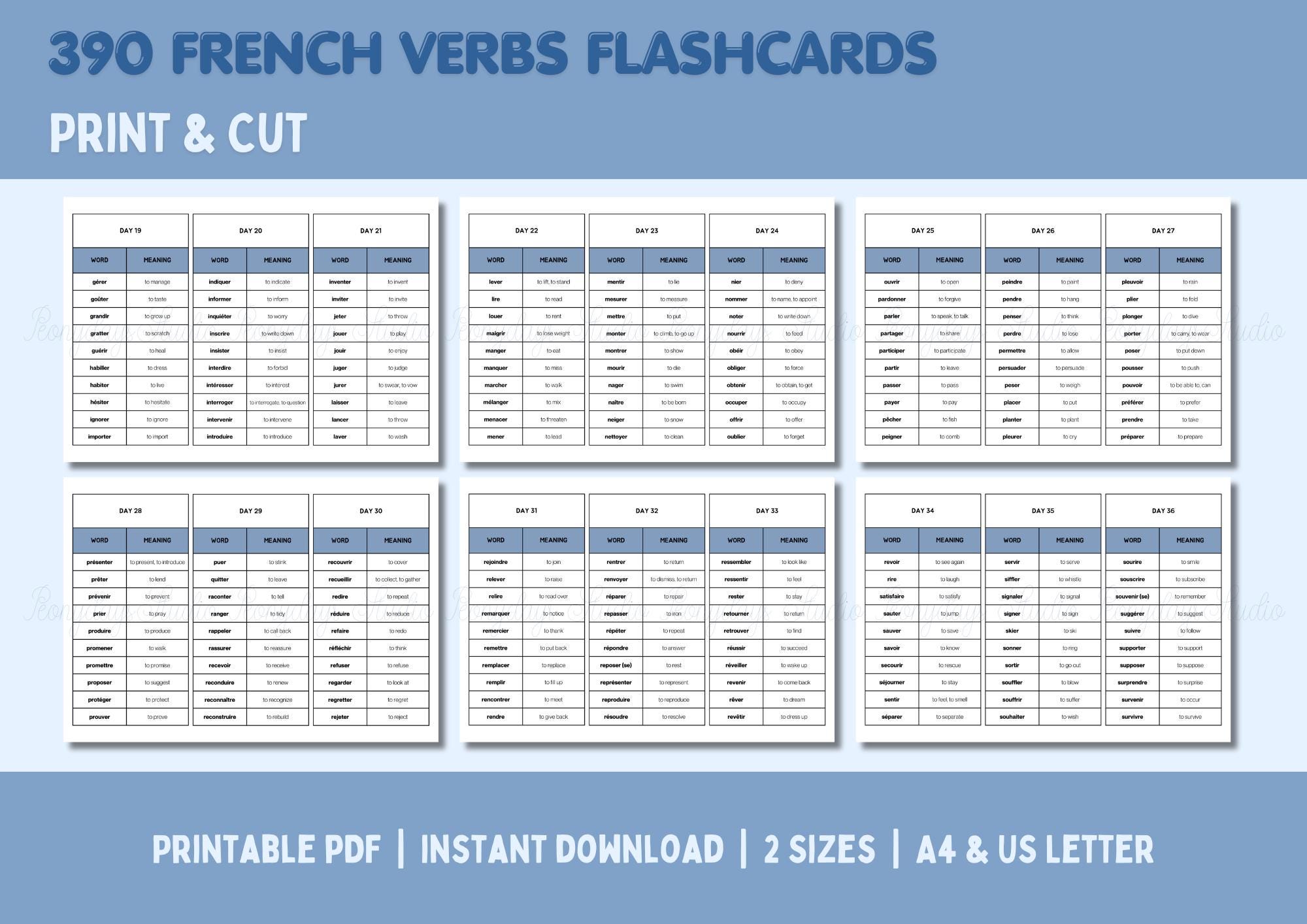 390 French Verbs Printable Print Cut Flashcards With Blank Conjugation ...