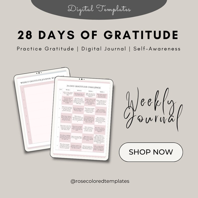 28 Day Gratitude Challenge | Printable Gratitude Journal - Etsy