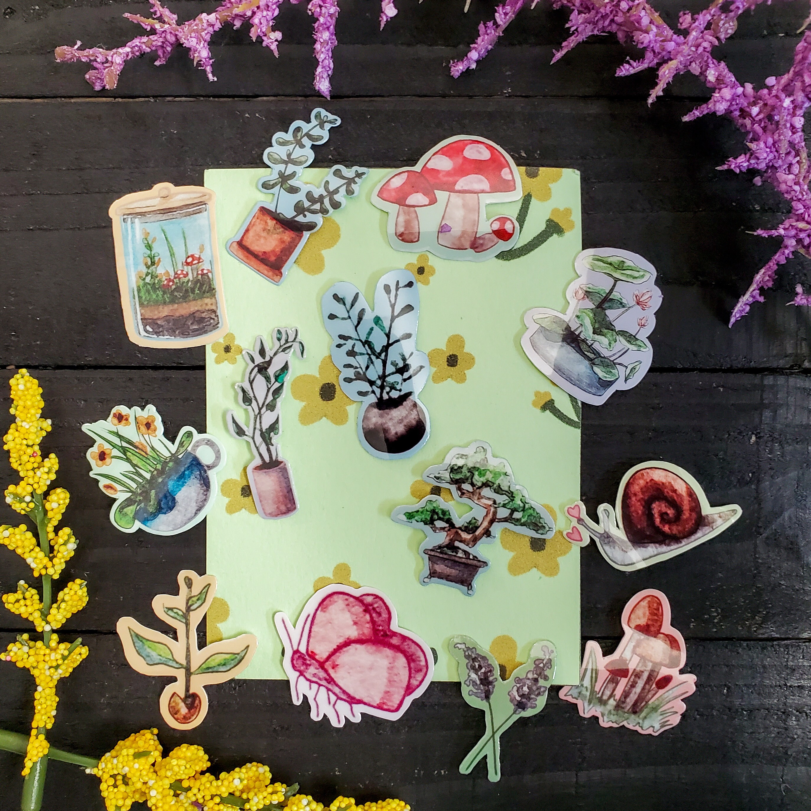 Plant Sticker Pack - Etsy
