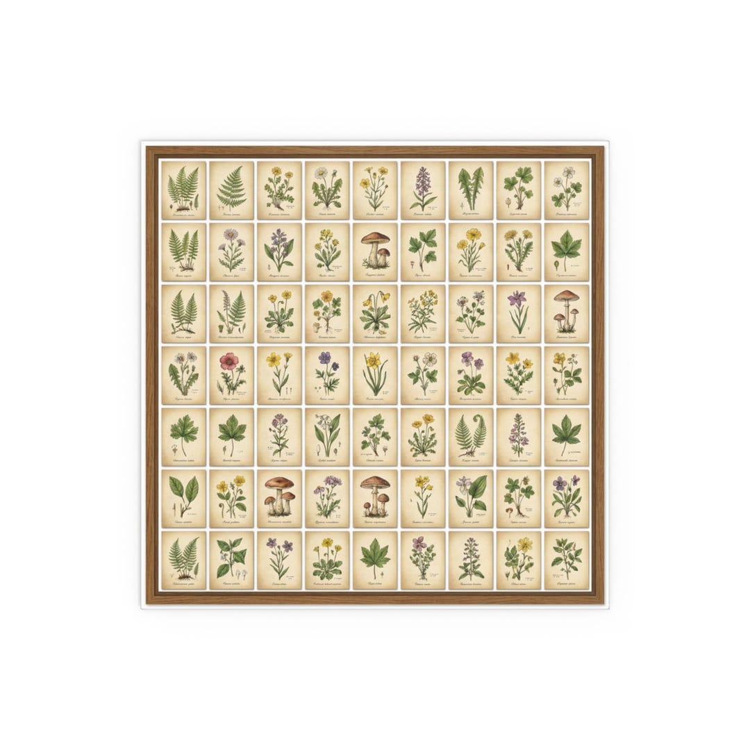 Vintage Botanical Grid Poster Silk Poster | Herb and Mushroom Prints - Etsy