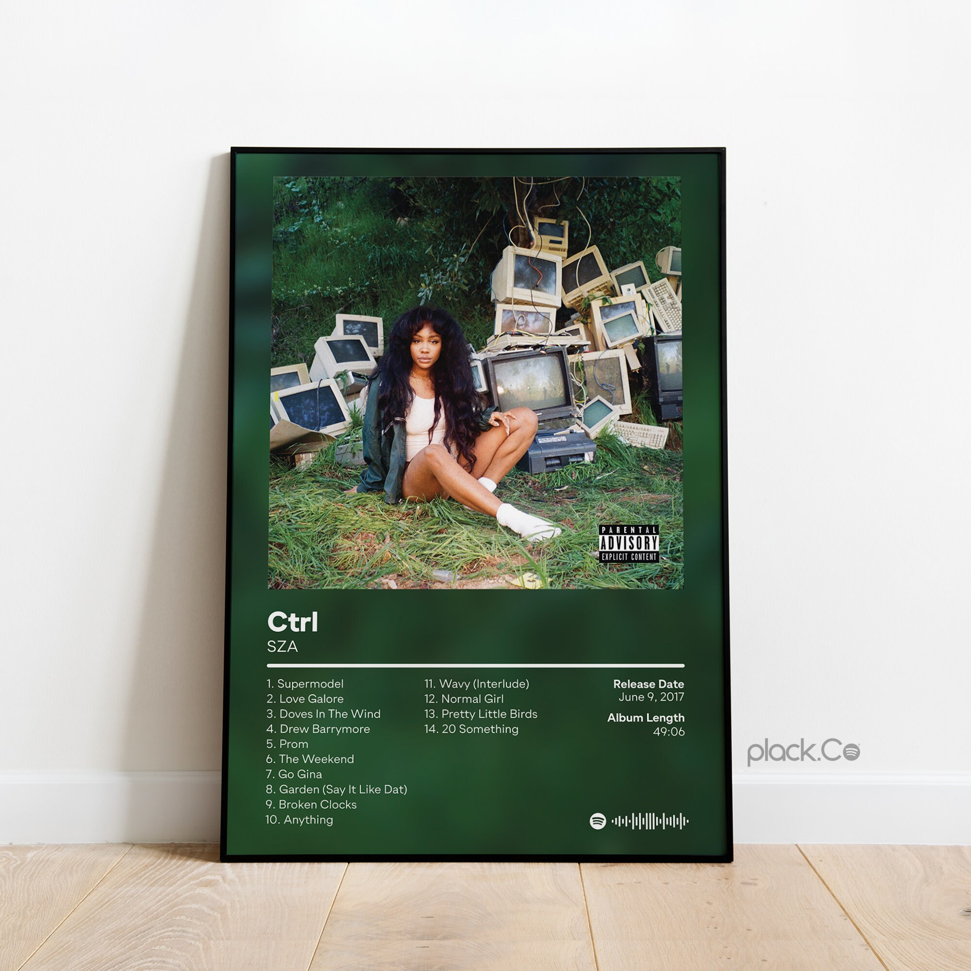 SZA - Ctrl - Custom Album Poster - Hip Hop Wall Art - Custom Album Cover