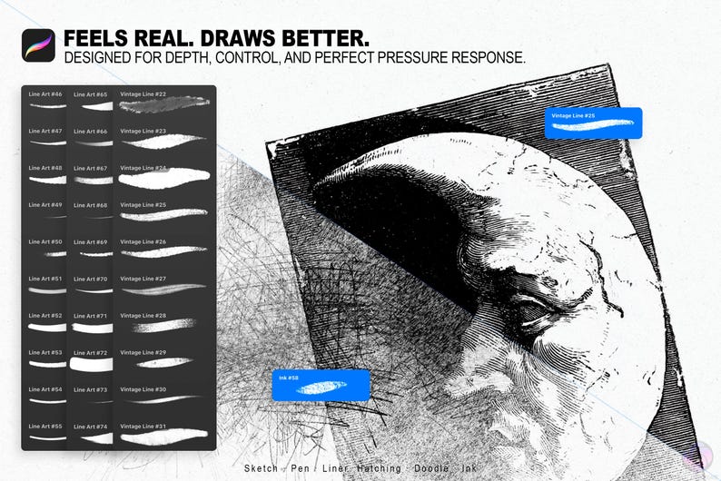 200+ Vintage Engraving Linework Procreate Brushes MEGA BUNDLE | Etching ...
