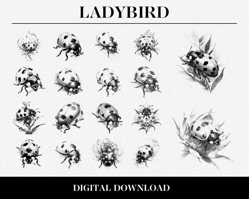 Ladybird Procreate Brush Set | 50 Realistic Insect Brushes (digital ...