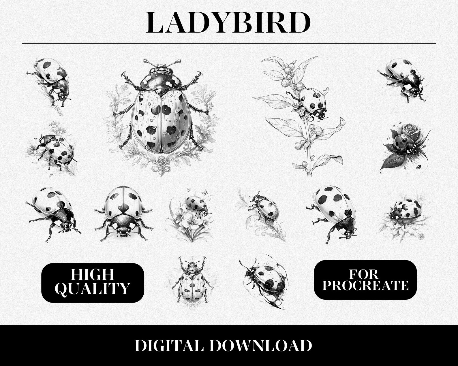 Ladybird Procreate Brush Set | 50 Realistic Insect Brushes (digital ...