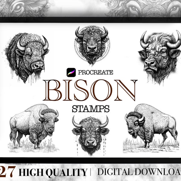Bison Illustration - Etsy