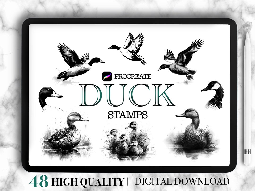 Duck Designs for Procreate / Tattoo Stamp - 48 Designs - Stamps Digital ...