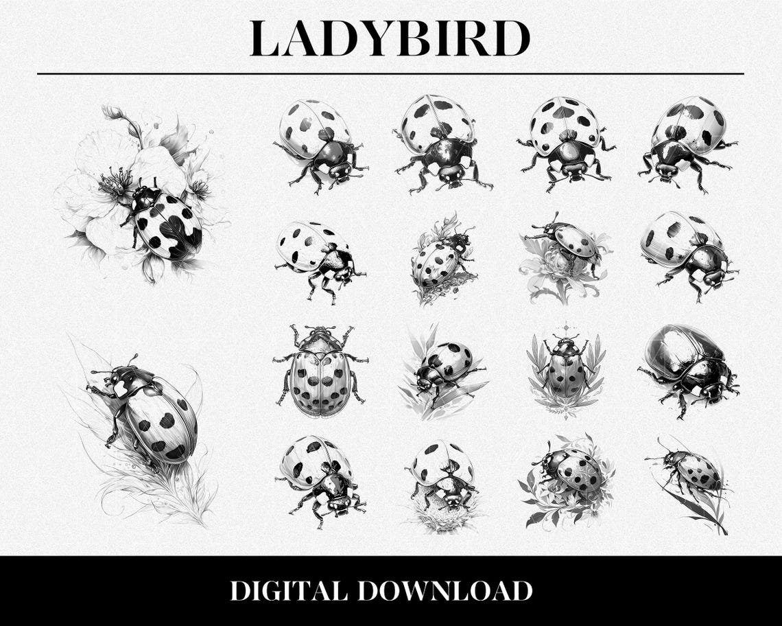 Ladybird Procreate Brush Set | 50 Realistic Insect Brushes (digital ...