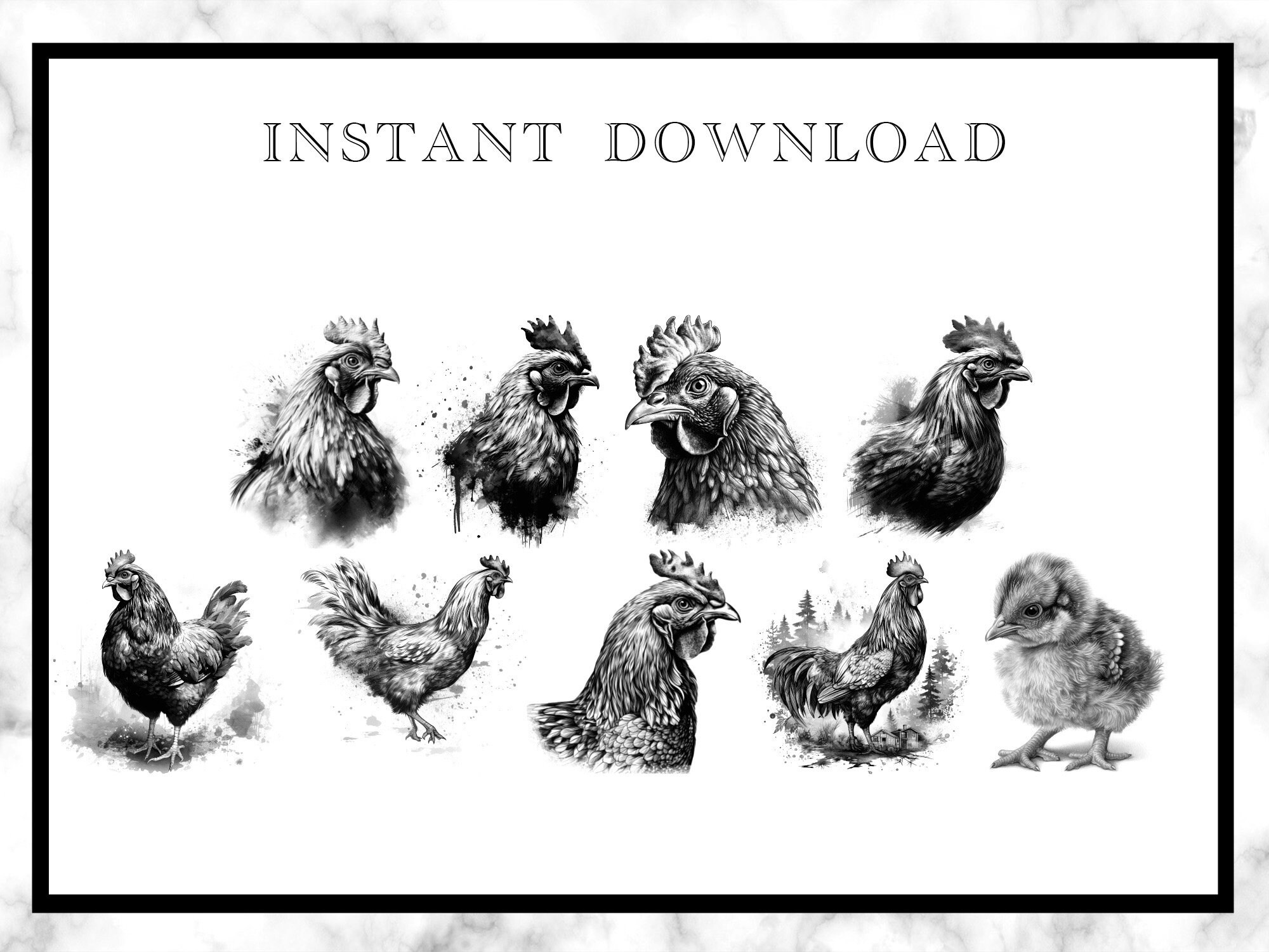 Chicken Portrait Designs for Procreate / Tattoo Stamp 39 - Etsy