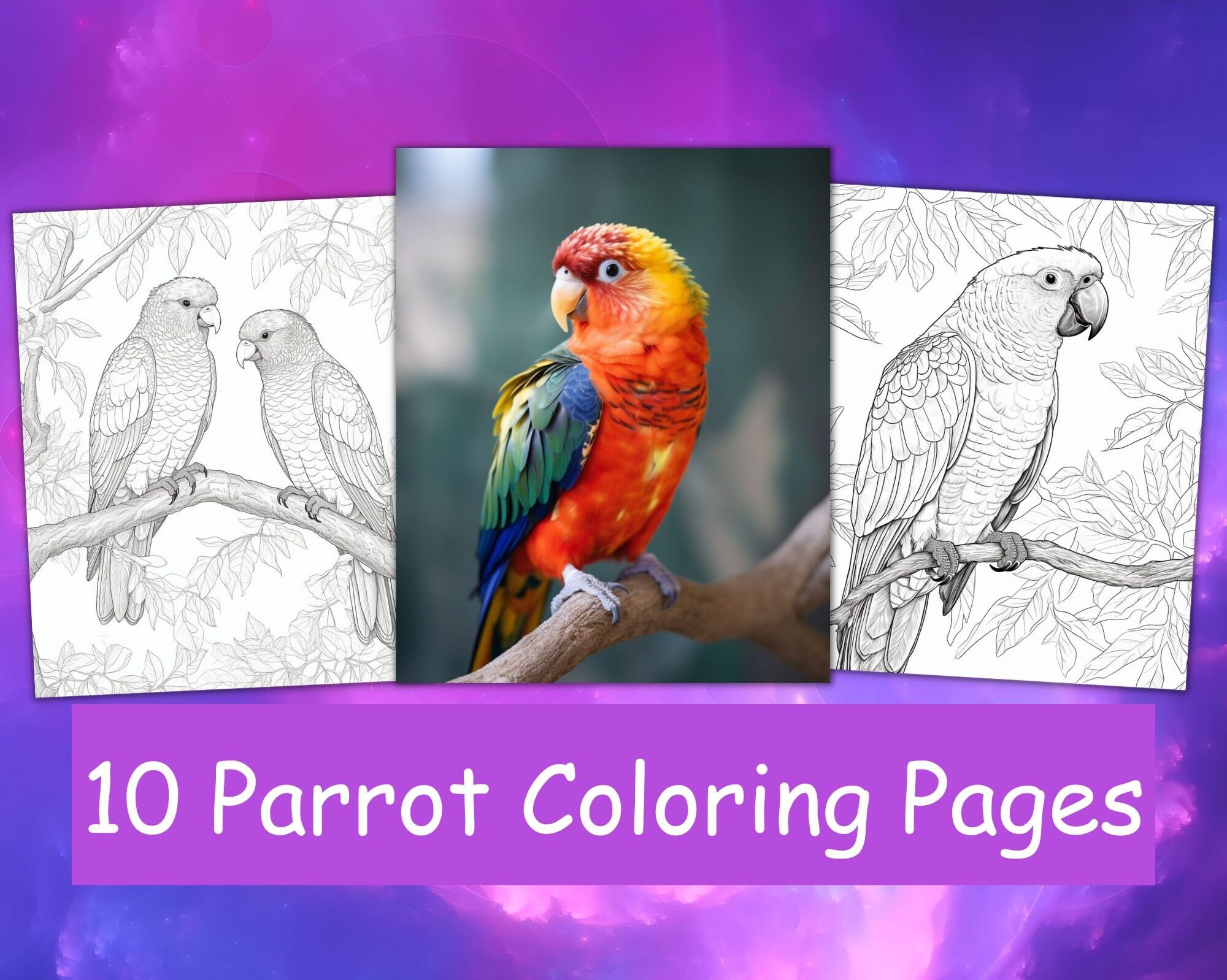 Realistic Parrot Coloring Page