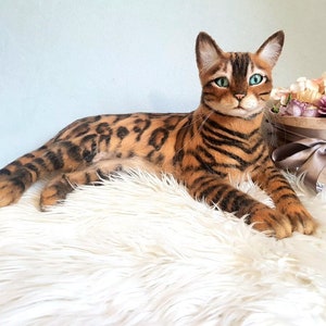 Ragdoll Custom Cat Stuffed Plush, Life Look Cat Clone, ANY BREED ...