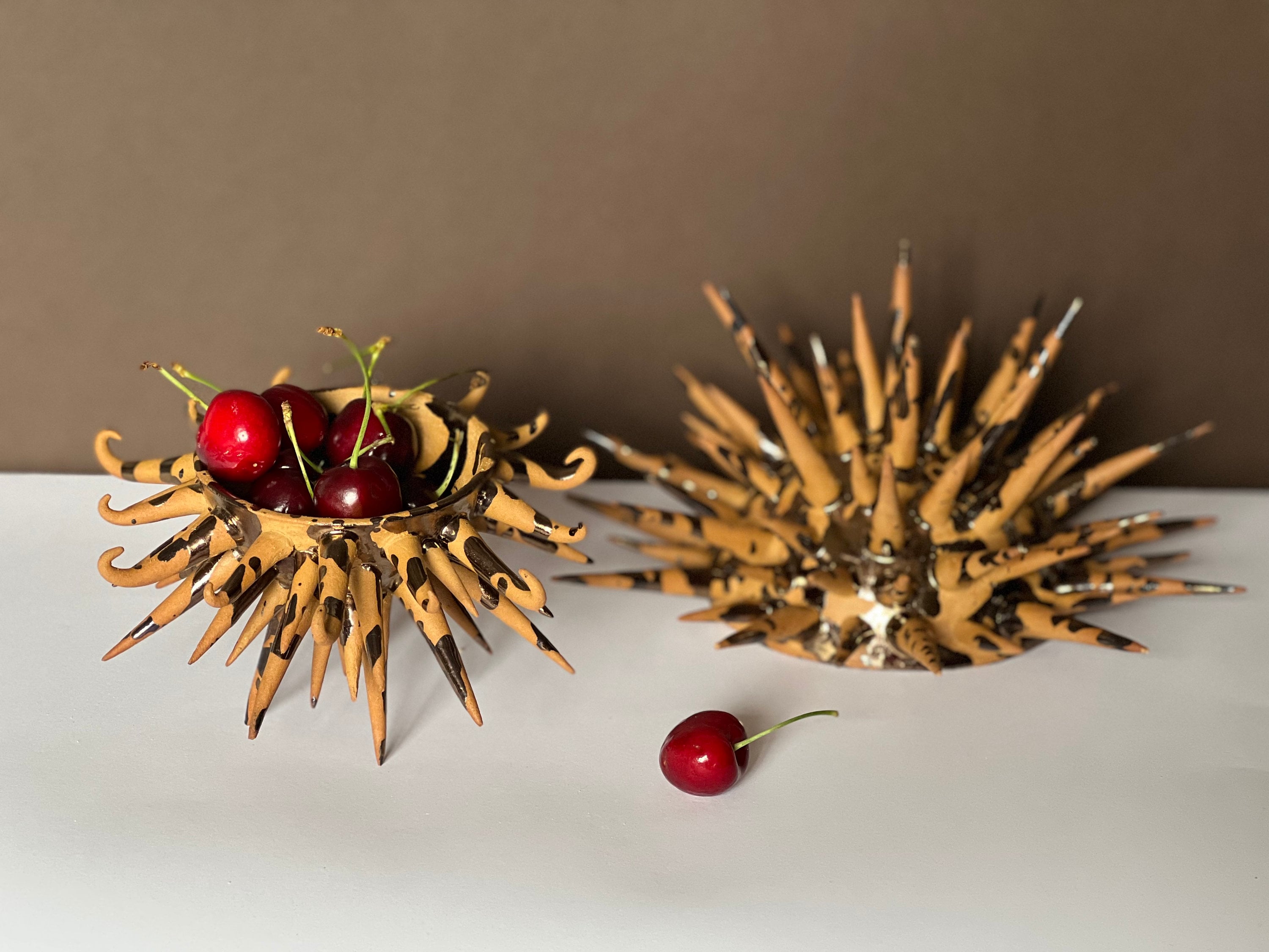 Exclusive Conker Bowl, Spiked Ceramics Bowl White With Bronze ...