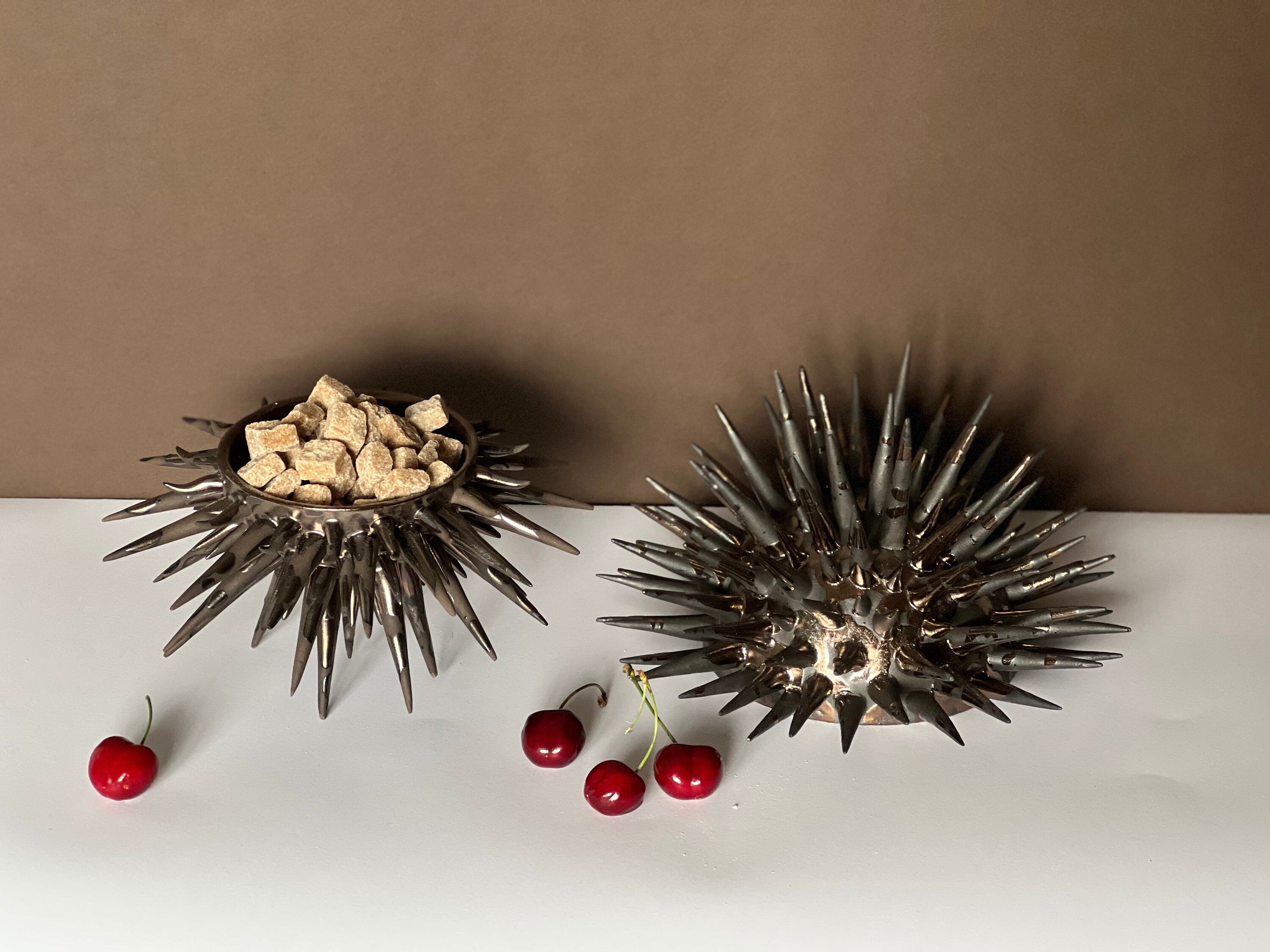 Exclusive Conker Bowl, Spiked Ceramics Bowl White With Bronze ...
