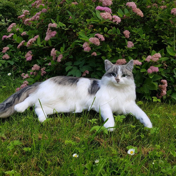 Realistic Cat - Etsy