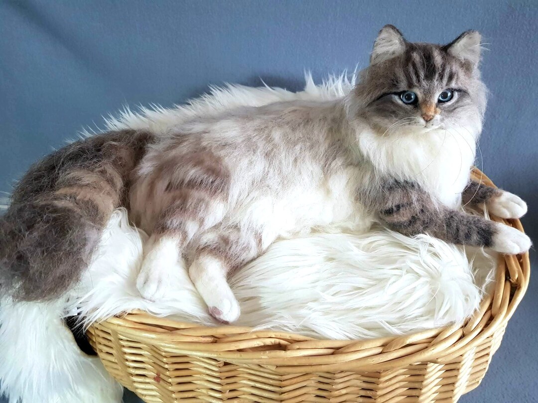 Ragdoll Custom Cat Stuffed Plush, Life Look Cat Clone, ANY BREED ...