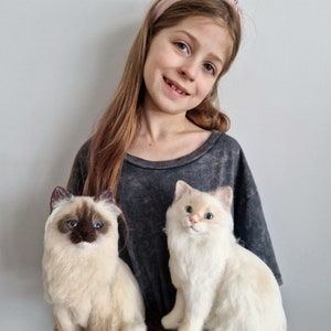 Custom Ragdoll Cat, Stuffed Plush Clone, Life Size Cat Replica, ANY ...