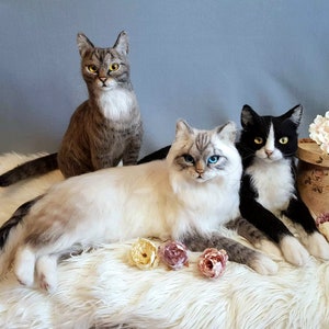 Stuffed Cats That Look Real - Etsy