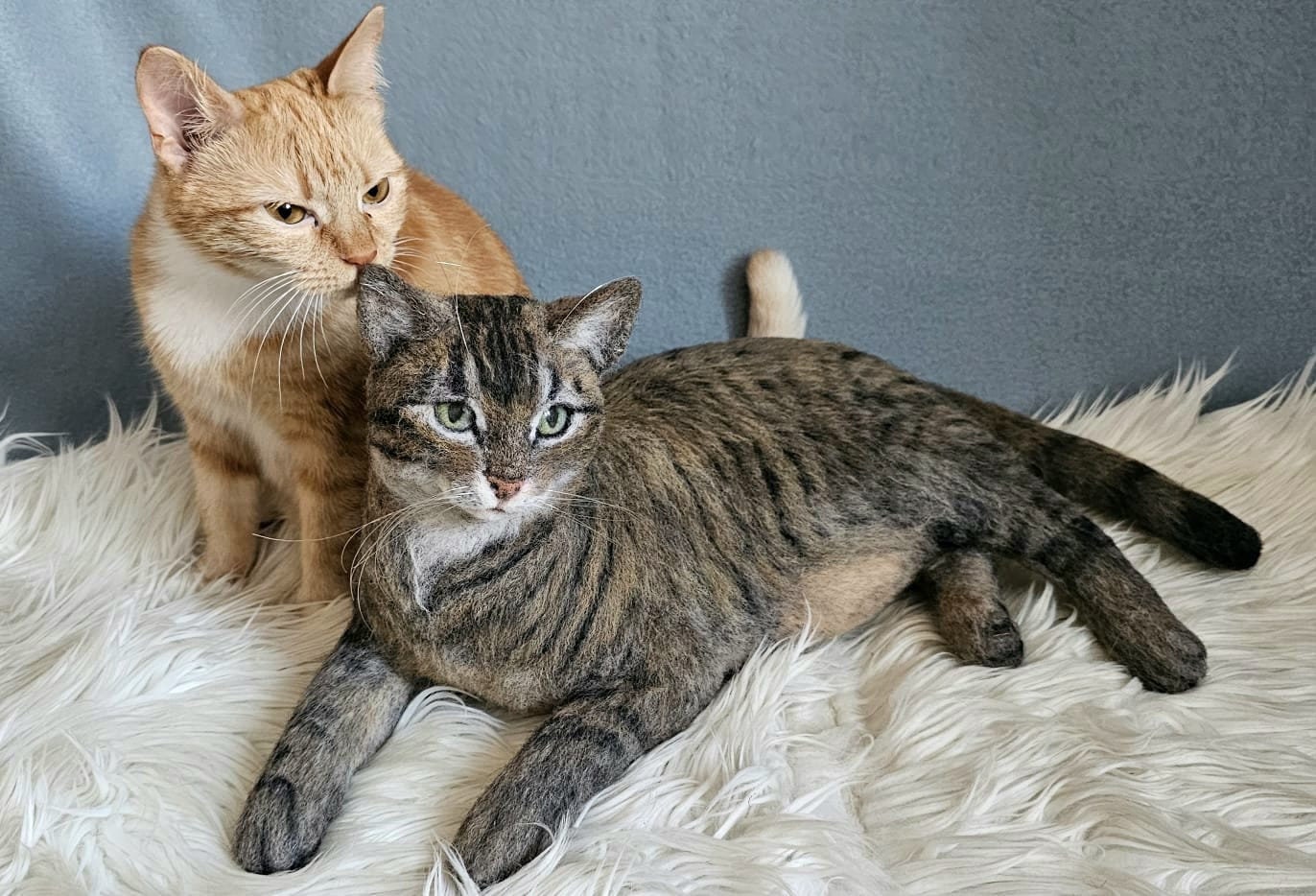 Custom Stuffed Plush Clone, Life Size Cat Replica, Premium Quality ...