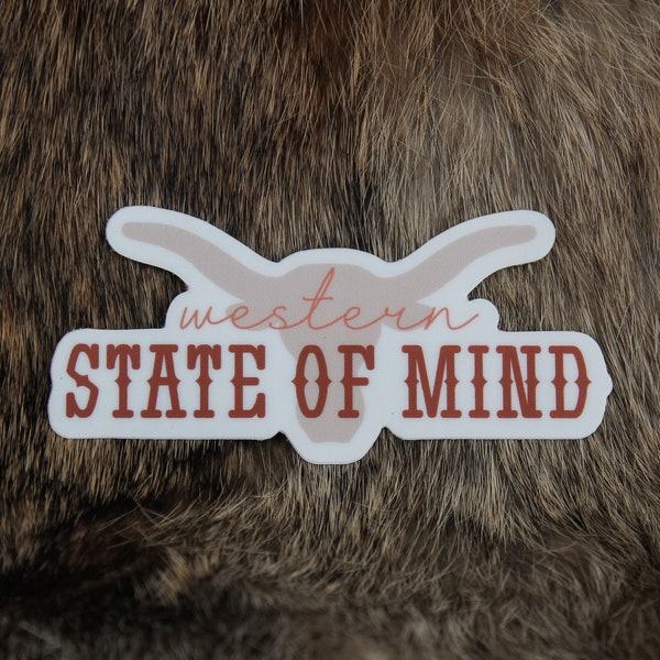 Punchy Western Car Decals - Etsy