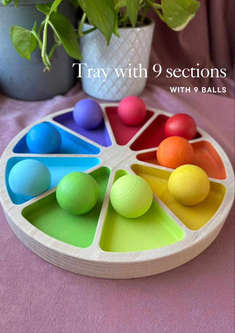 SORTING TRAY With 9 COLORS Sections. Montessori - Etsy