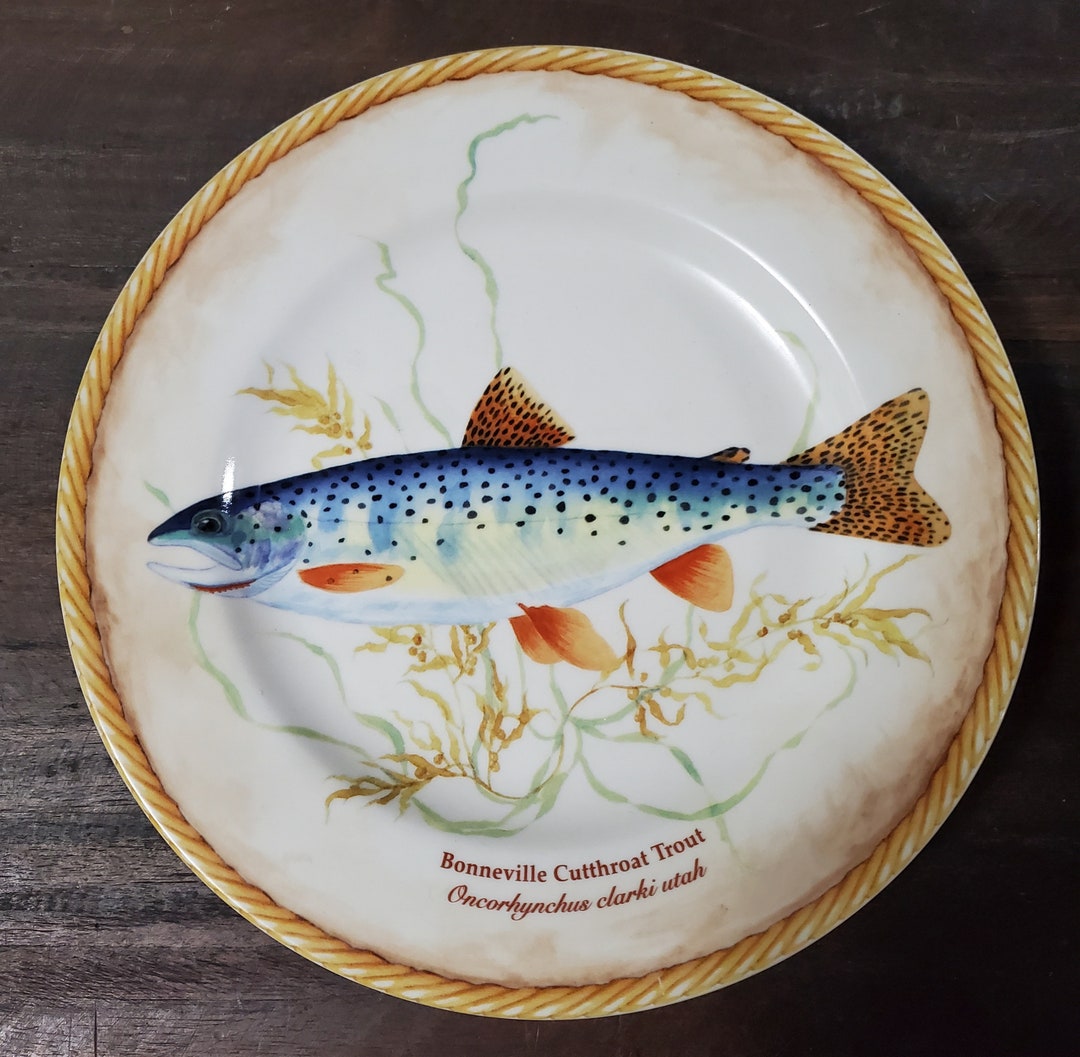 American Atelier Rainbow Lake Plate CUTTRHOAT TROUT Fish Salad Plate ...