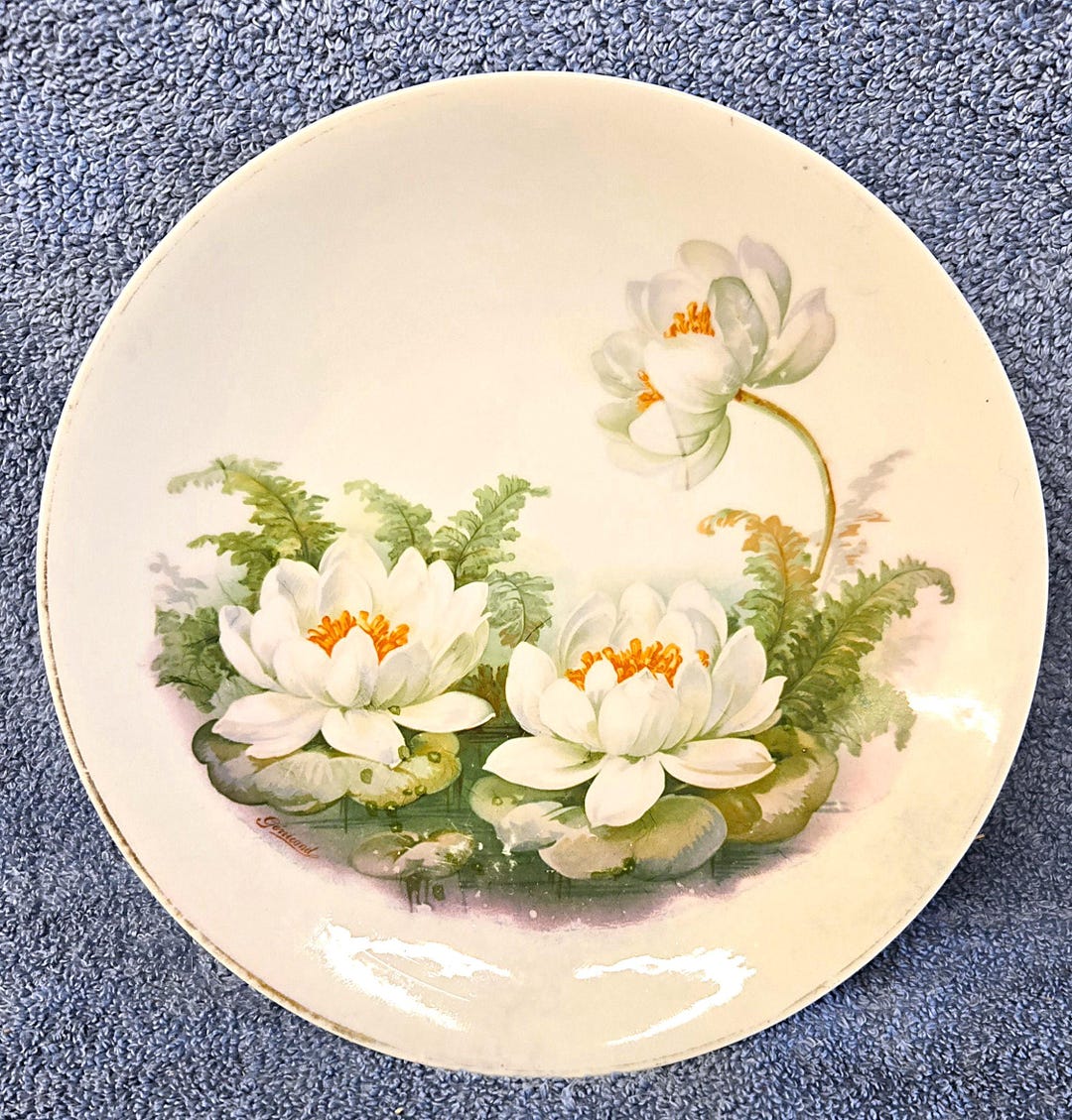 Vintage Water Lily Flower Floral Lustre Luster 9.5" Plate Porcelain ...