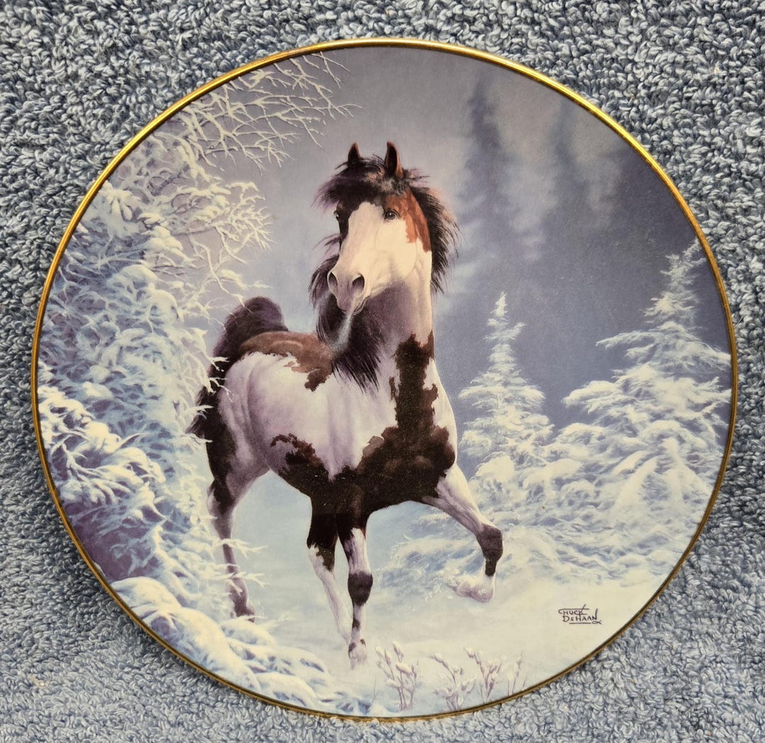 Vintage 1992 Unbridled Spirit Plate Collection “winter Renegade” Chuck ...