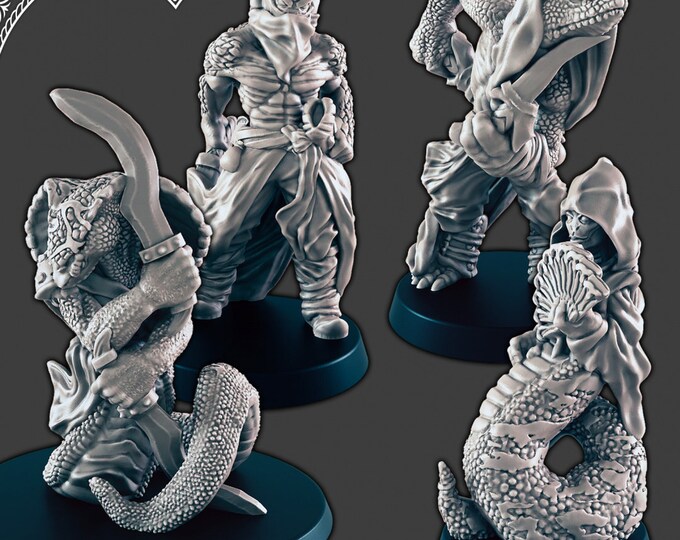 Snakefolk DND Mini, EC3D Scorching Sands, Desert Miniatures Assassin ...