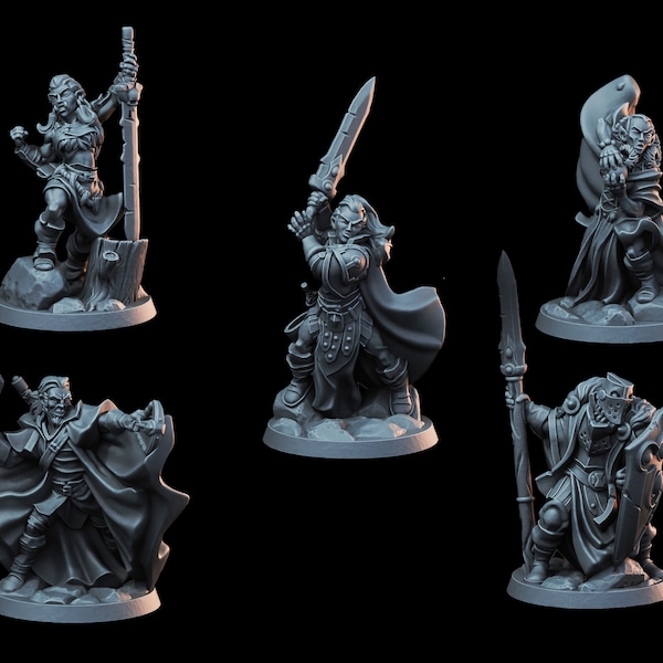 Dnd Player Miniature - Etsy