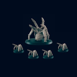 5 Spider Miniature Pack - EC3D | Dnd | Monster | Large | Big ...