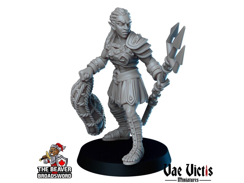 Gladiators Mini Set - Vae Victis | Dnd | Elf | Tabaxi | Goliath | Human ...