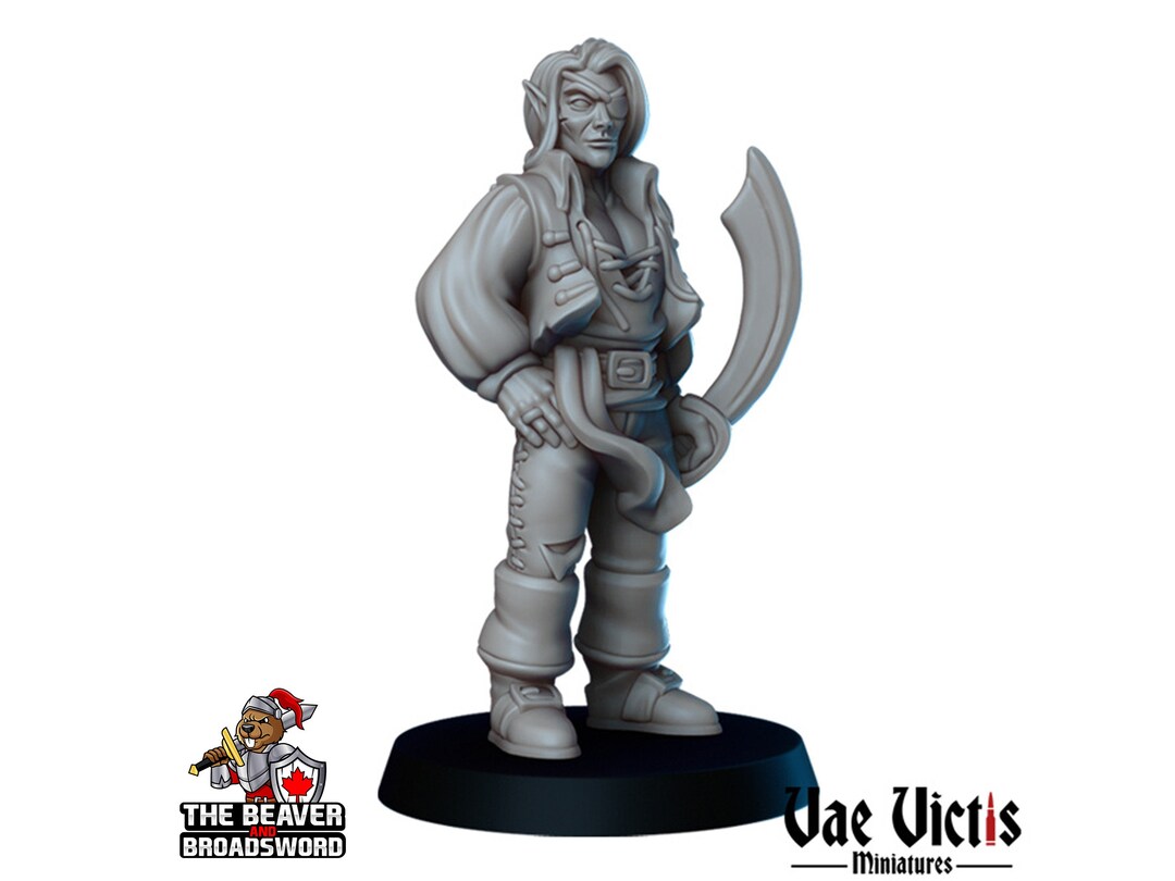 Elf Pirate Dnd Mini - Vae Victis | Townsfolk | Sailor | Seaman | Male ...