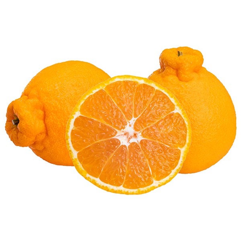 Oliver Tree Figurine - Etsy