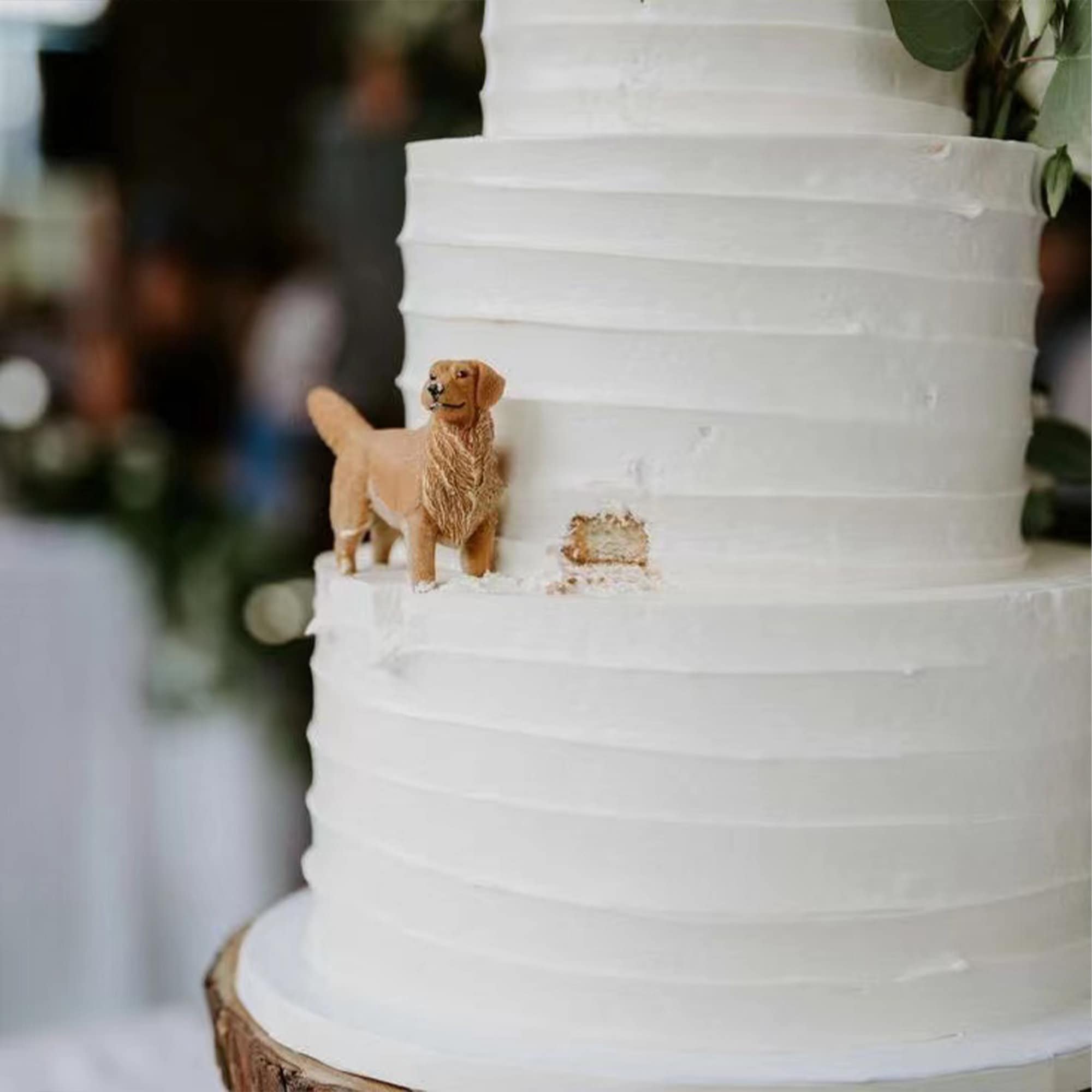 Dog Wedding Cake