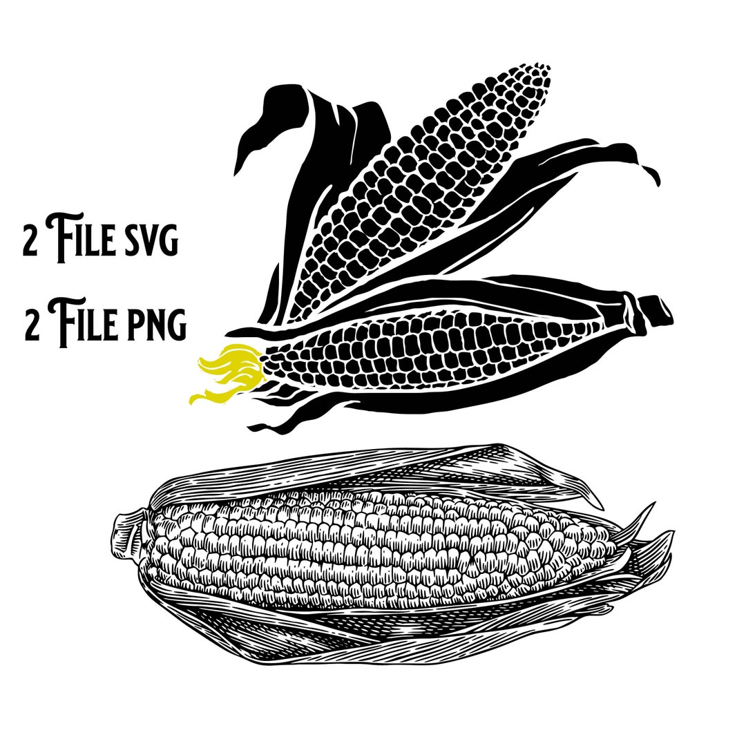 Corn SVG, Corn PNG, Corn Clipart, Corn Cut File, Corn Stencil, Corn ...