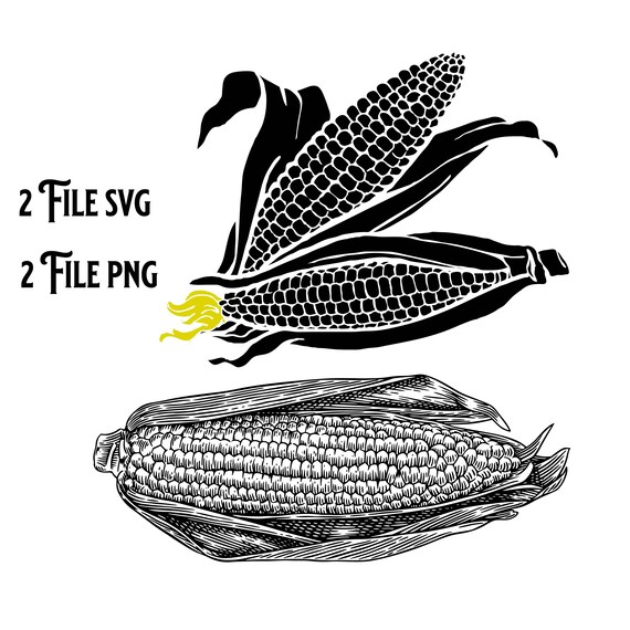 Corn SVG Corn PNG Corn Clipart Corn Cut File Corn Stencil - Etsy Australia