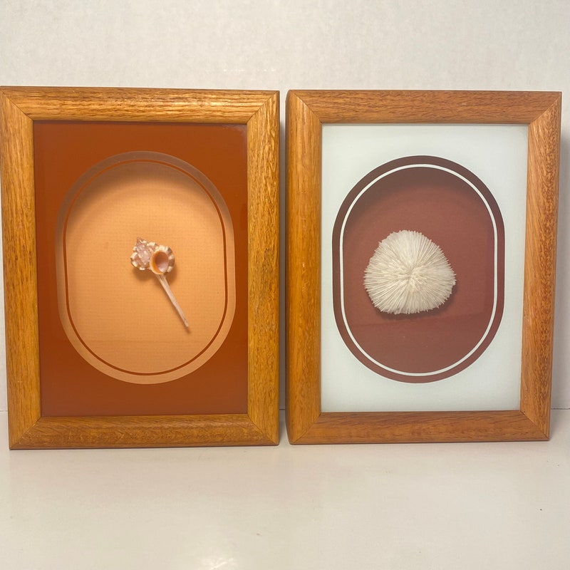 Shell Art Shadow Box - Etsy