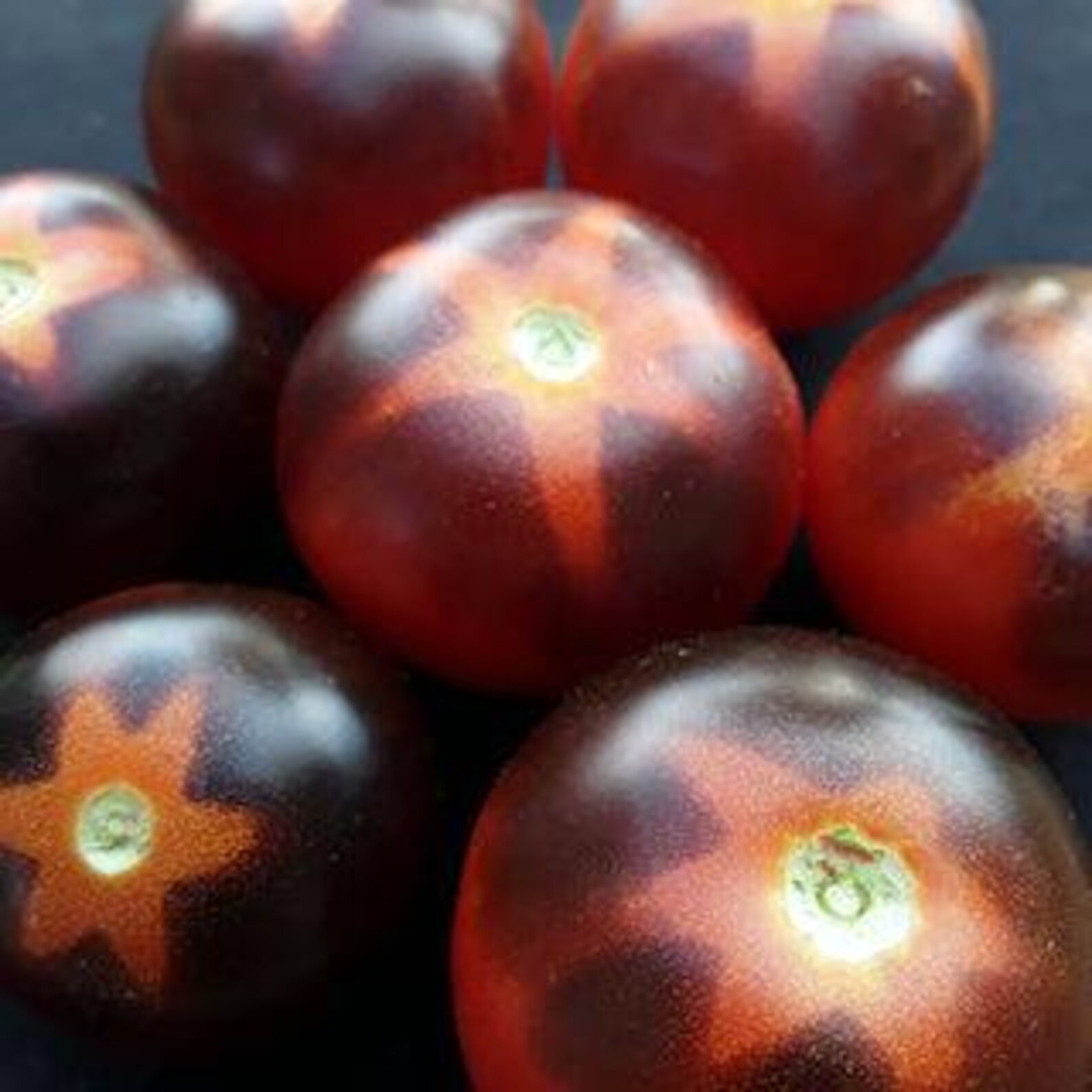 Goluboy Les (blue Forest) Tomato Seeds for Planting | Non GMO, Chemical ...