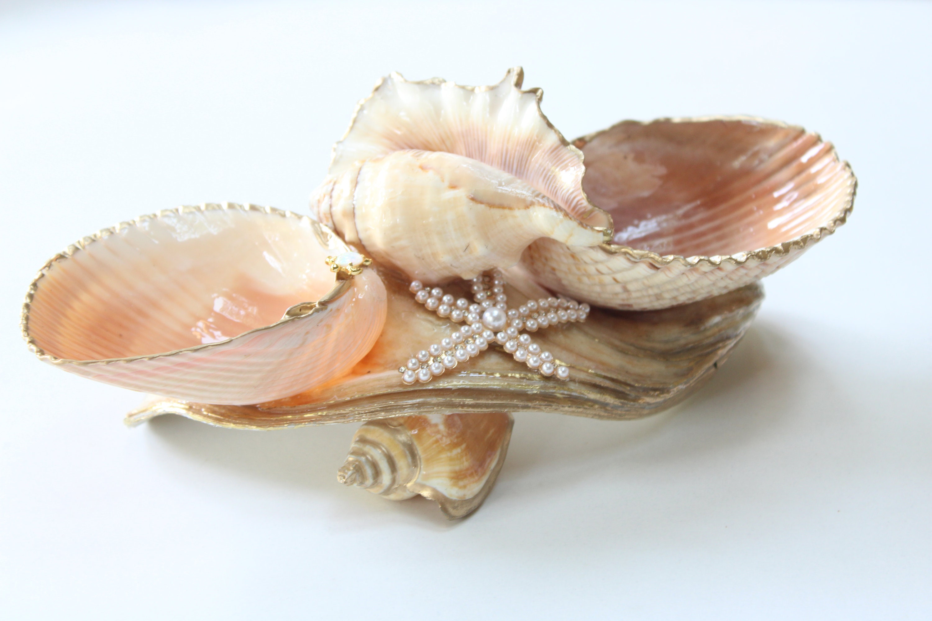 Dazzling Jumbo Double Seashell Ocean Jewelry Holder Set With a Vintage ...