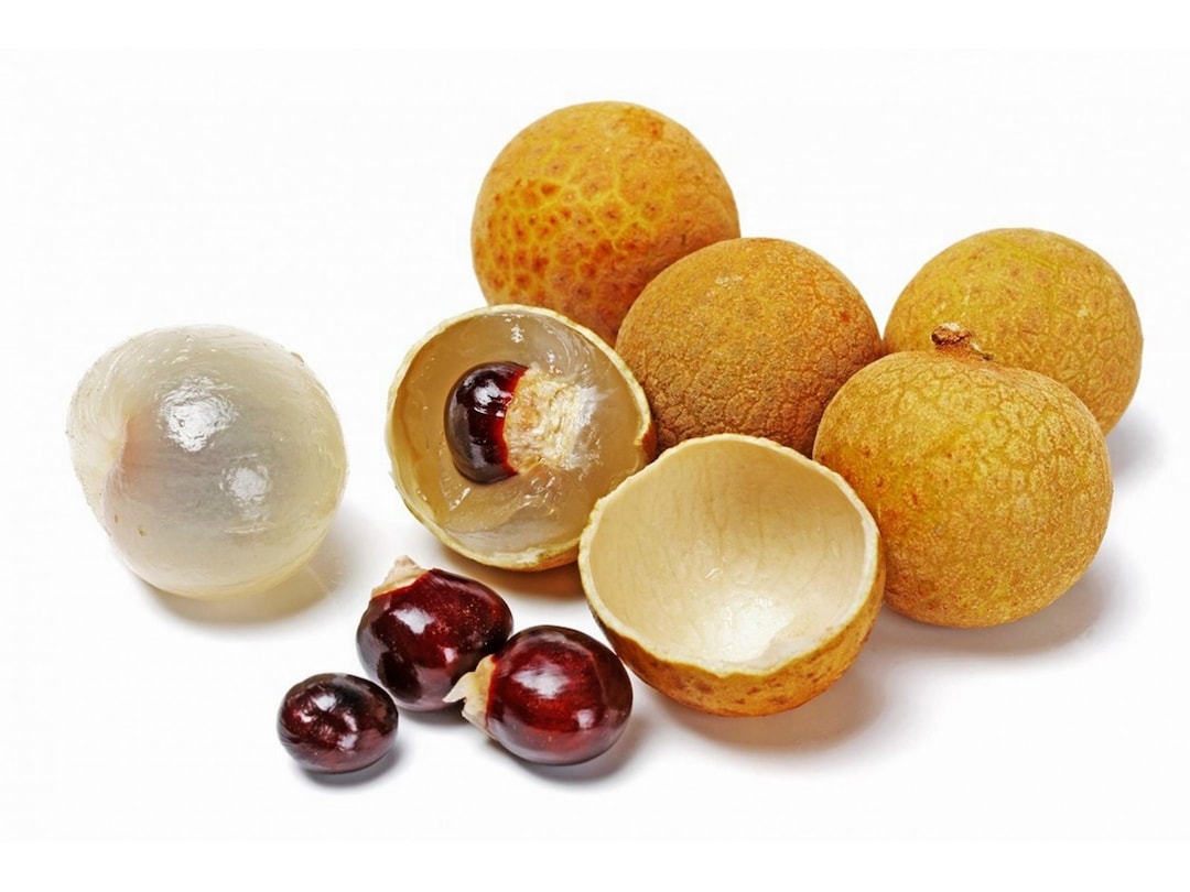 Peak Season Fresh 15 Longan Seeds - Etsy