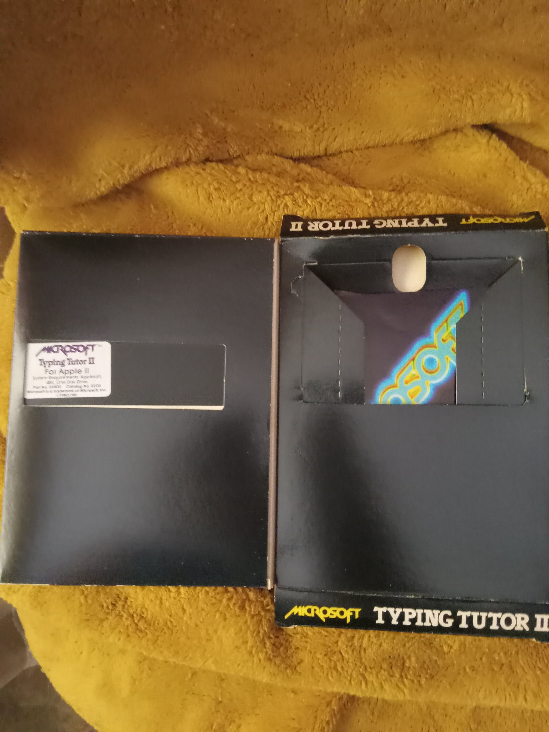 Vintage - Microsoft Typing Tutor 2 - Apple 2 - 1979,1981 - Etsy