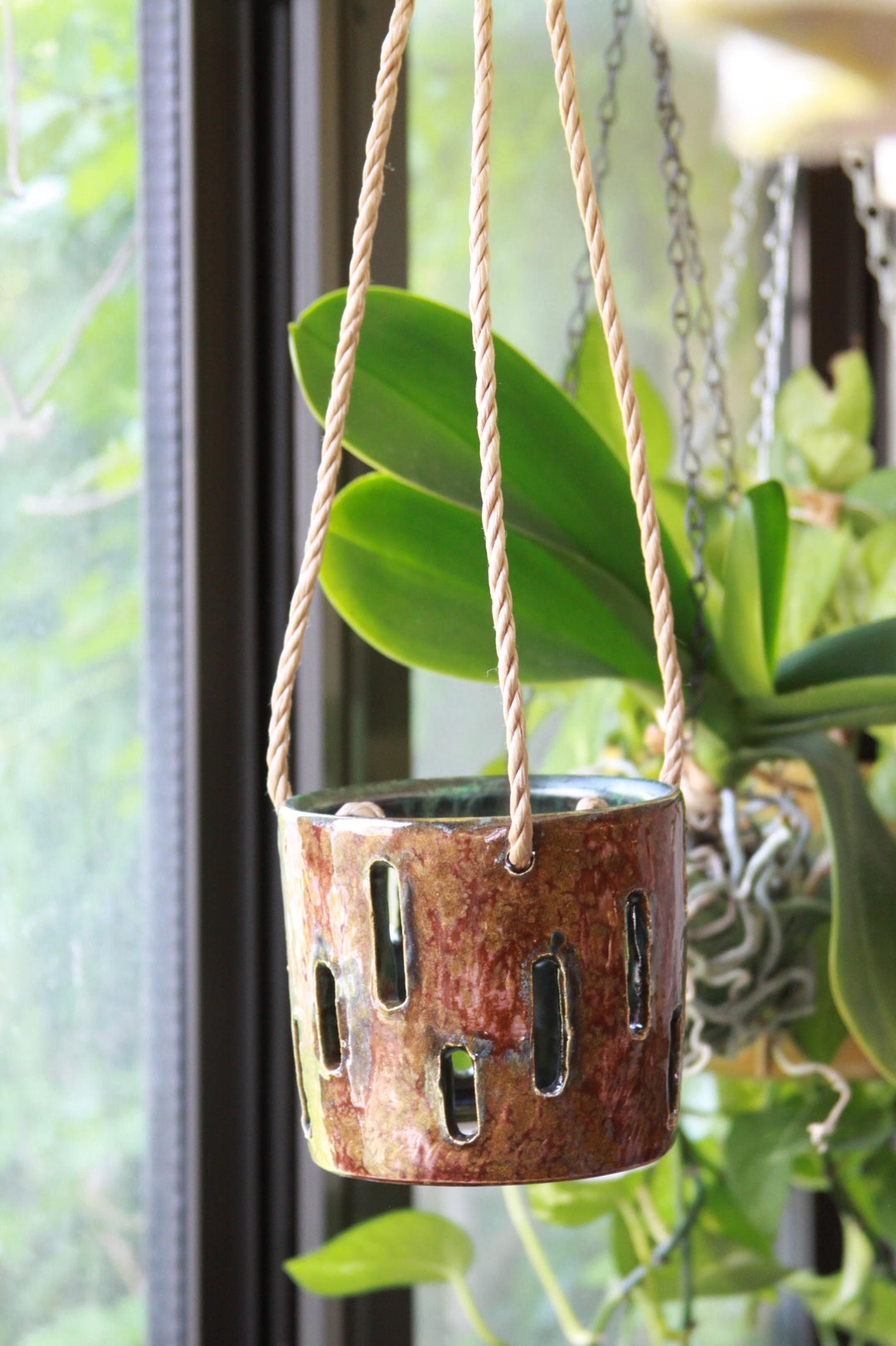 Hanging Orchid Pot - Etsy