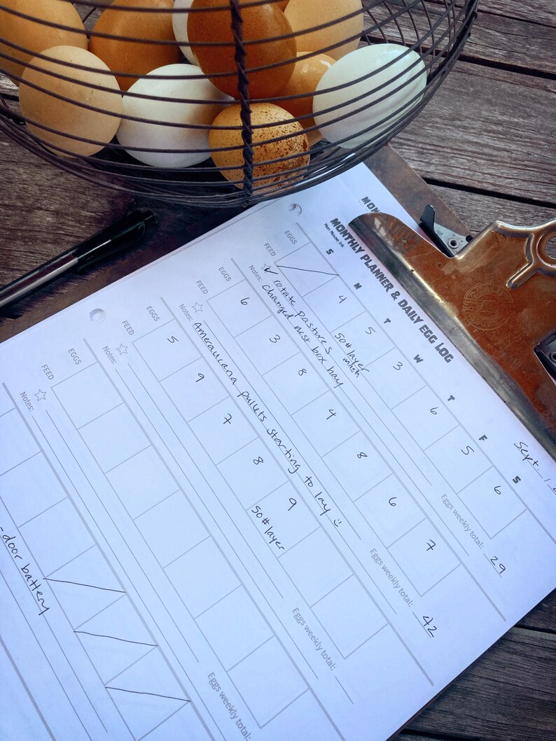Monthly Planner + Daily Egg Log (digital Download) - Etsy