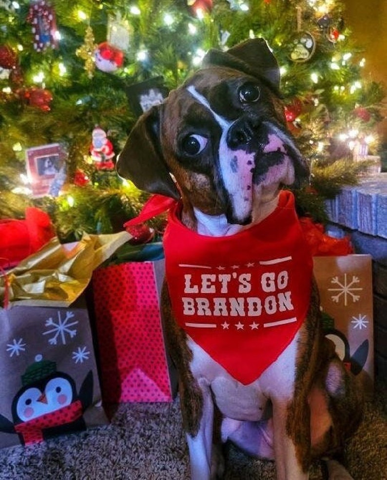 Trump 2024 Maga Dog/pet Bandana Ultra MAGA LGB Brandon USA - Etsy