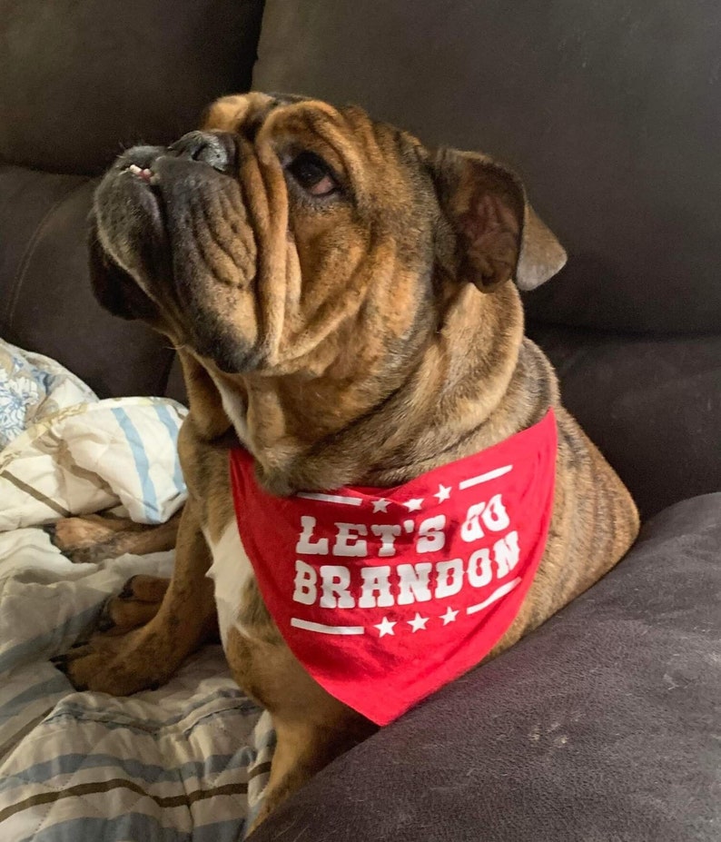 Trump 2024 Maga Dog/pet Bandana Ultra MAGA LGB Brandon USA - Etsy