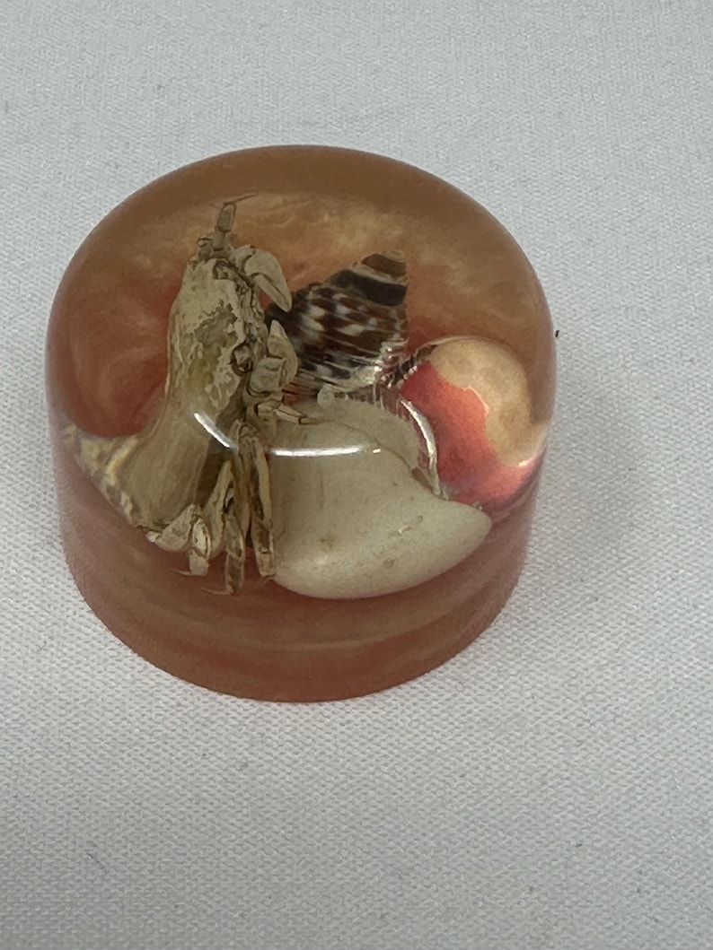 Mini Seashell Paperweight, Lucite Crab Coastal Decor, Vintage Ocean ...