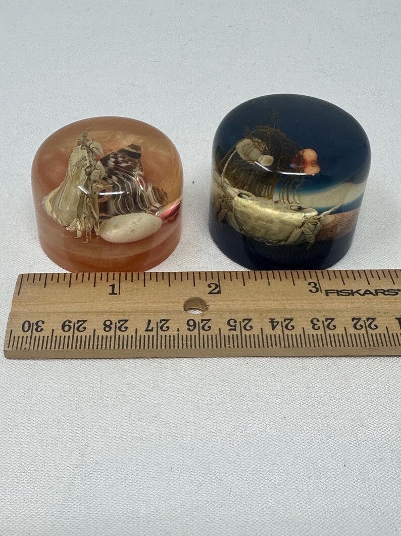 Mini Seashell Paperweight, Lucite Crab Coastal Decor, Vintage Ocean ...