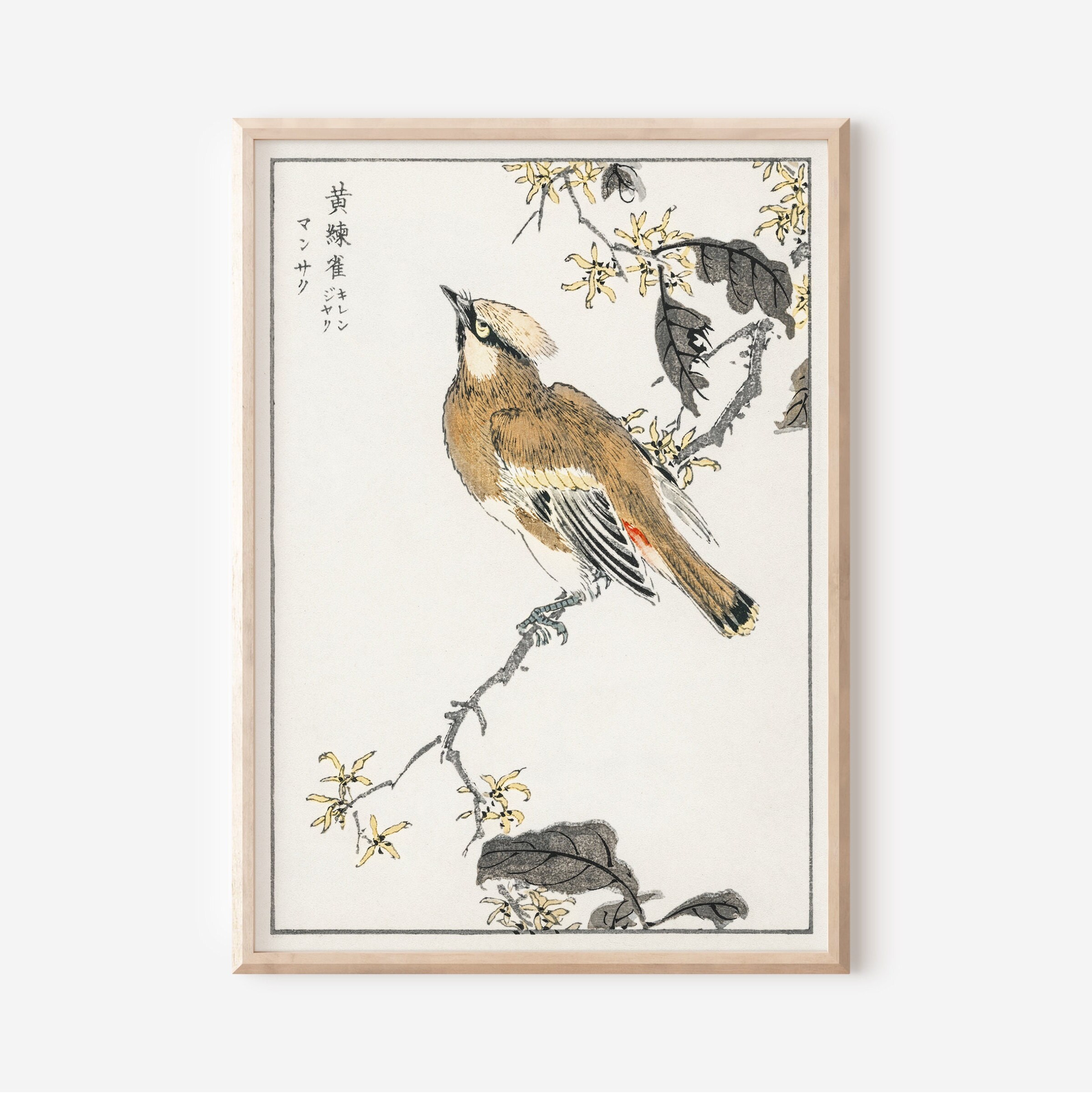 Gallery Wall Set Japanese Art Print Japanese Bird Art - Etsy